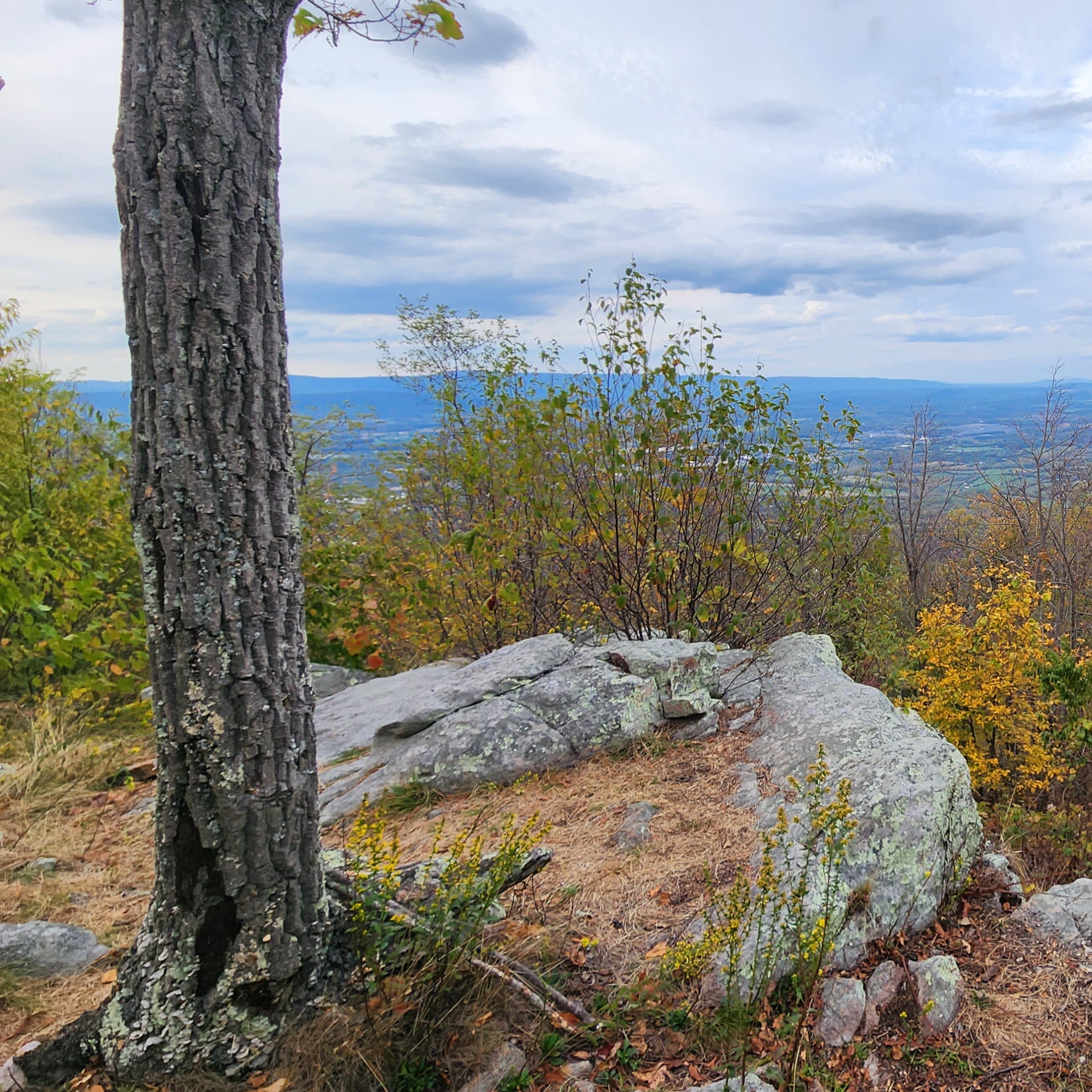 Meet the Massanutten Trail, a 71-mile loop trail just over an hour from ...
