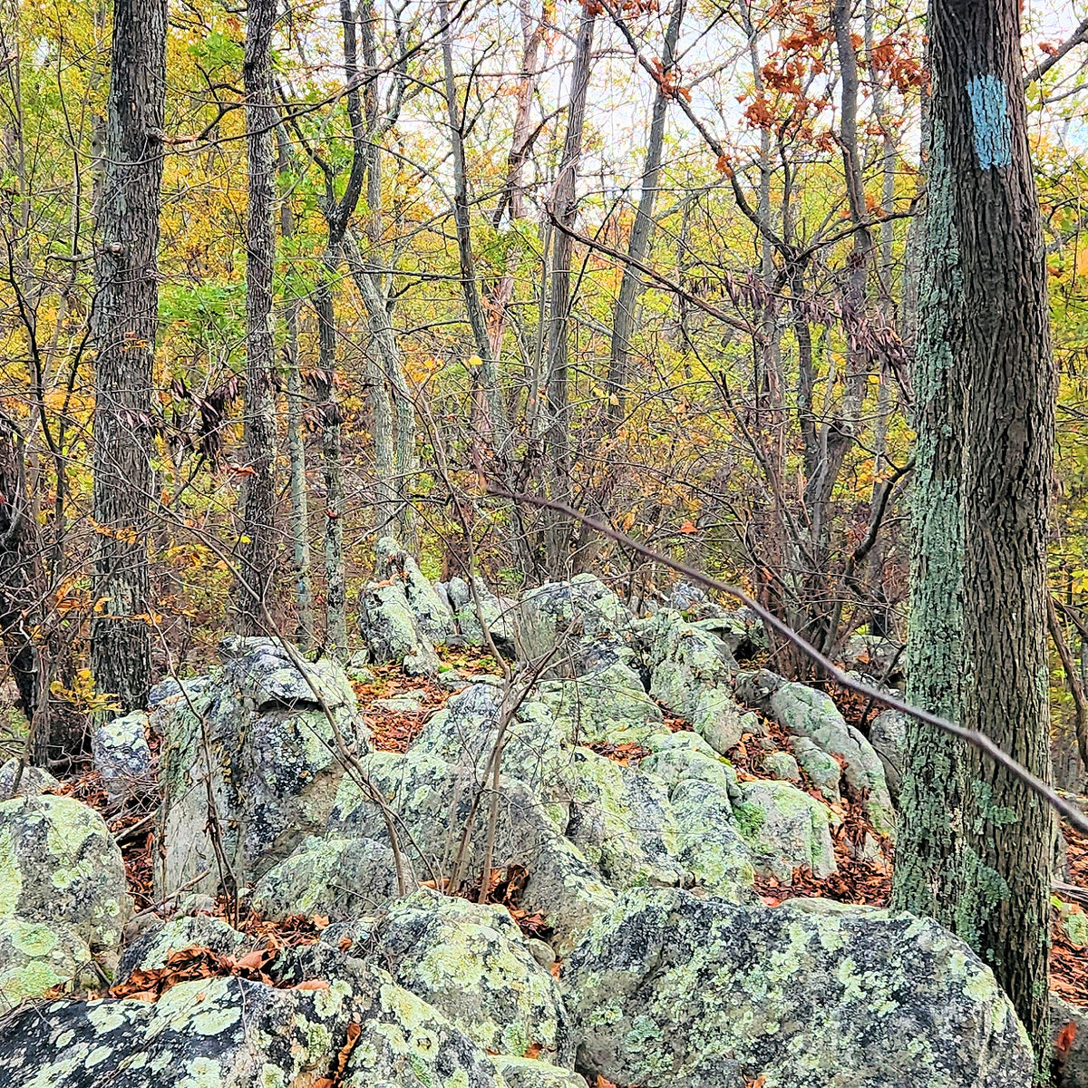 Elizabeth Furnace Recreation Area – Good Wolf Gear